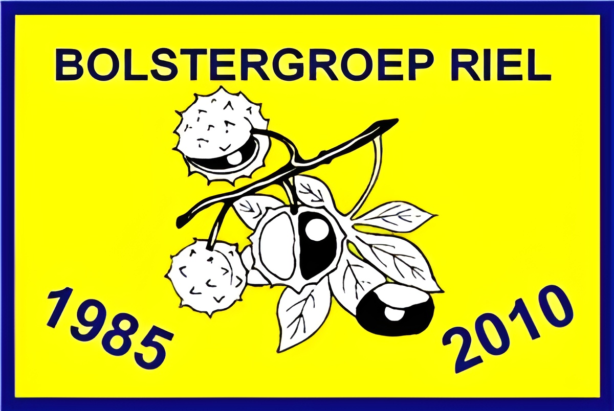 Scouting Riel – Gewoon een of andere WordPress website